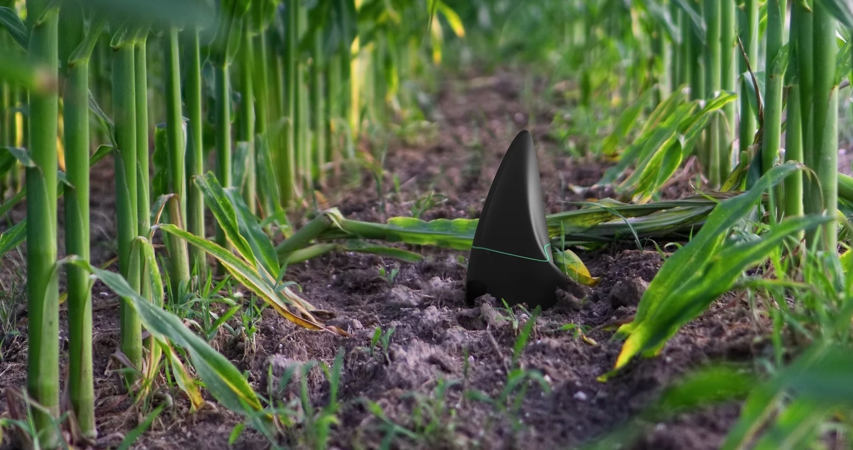 La falta de mano de obra es el mayor desafío para los agricultores de ...
