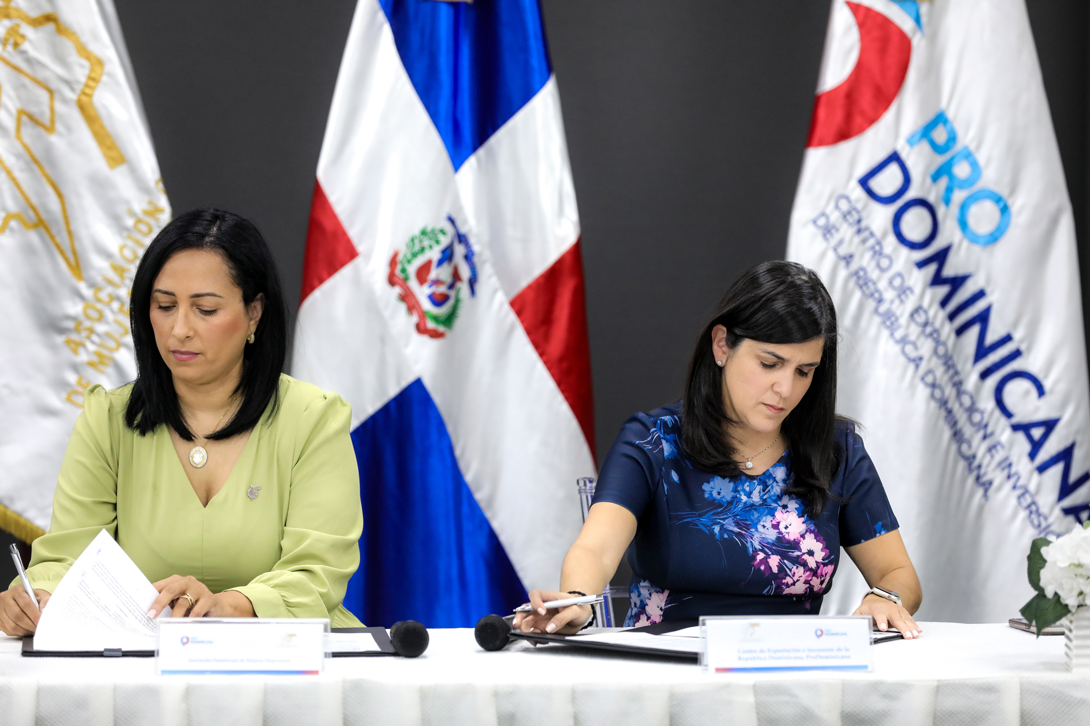 Mujeres Directoras Ejecutivas