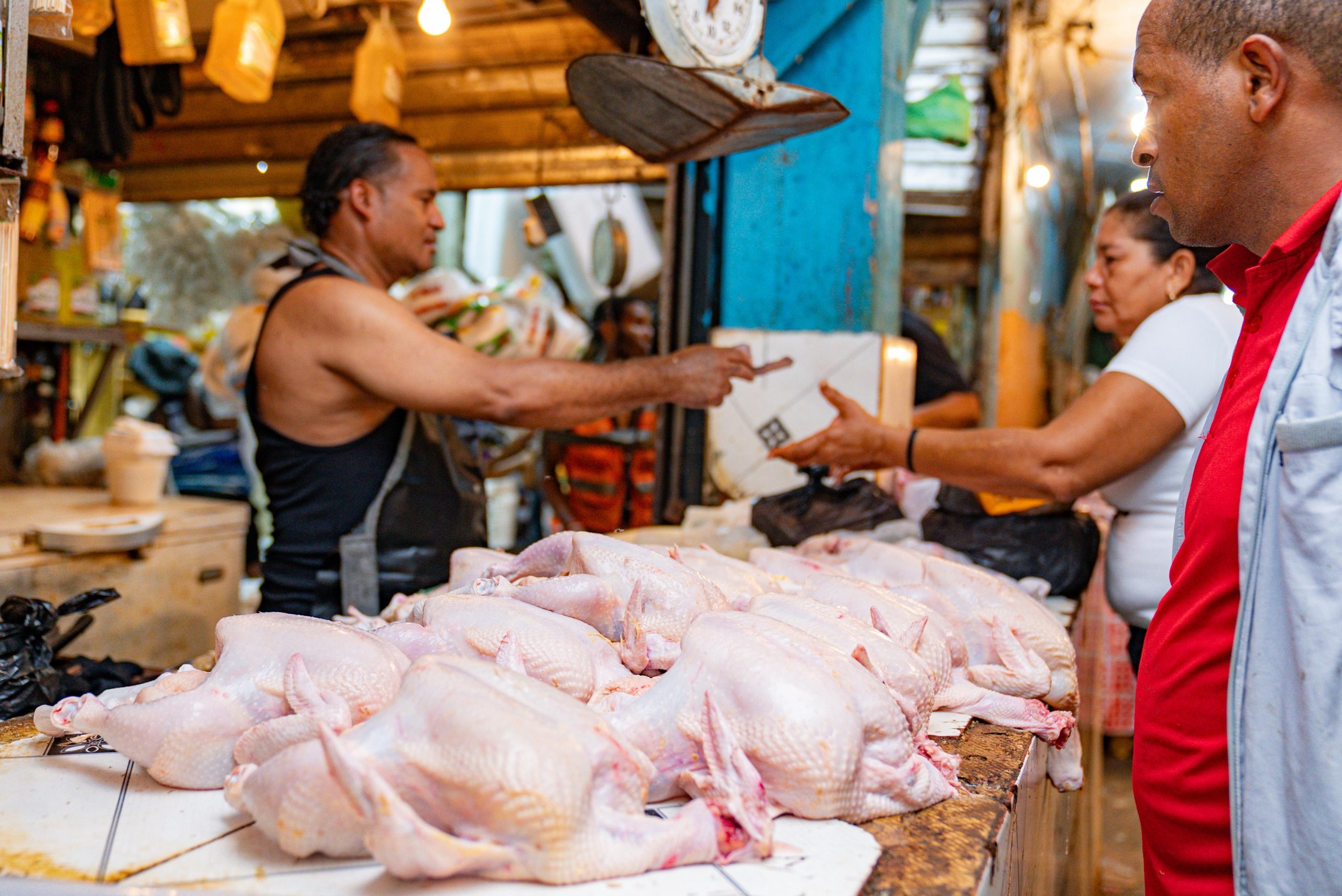 ADA informa liberan dos millones de libras de pollo para estabilizar ...