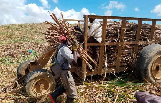Industria azucarera dominicana crece, pero cañeros denuncian precarias ...