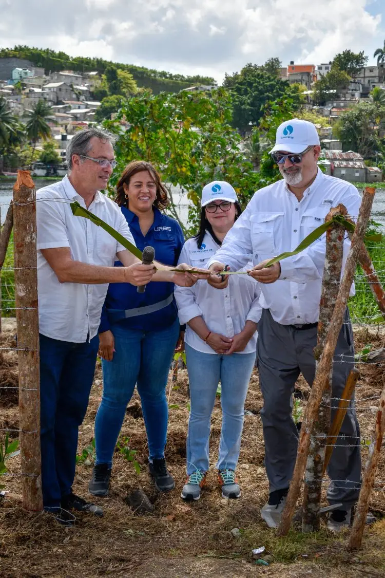 jornada de reforestacion - Periódico elDinero