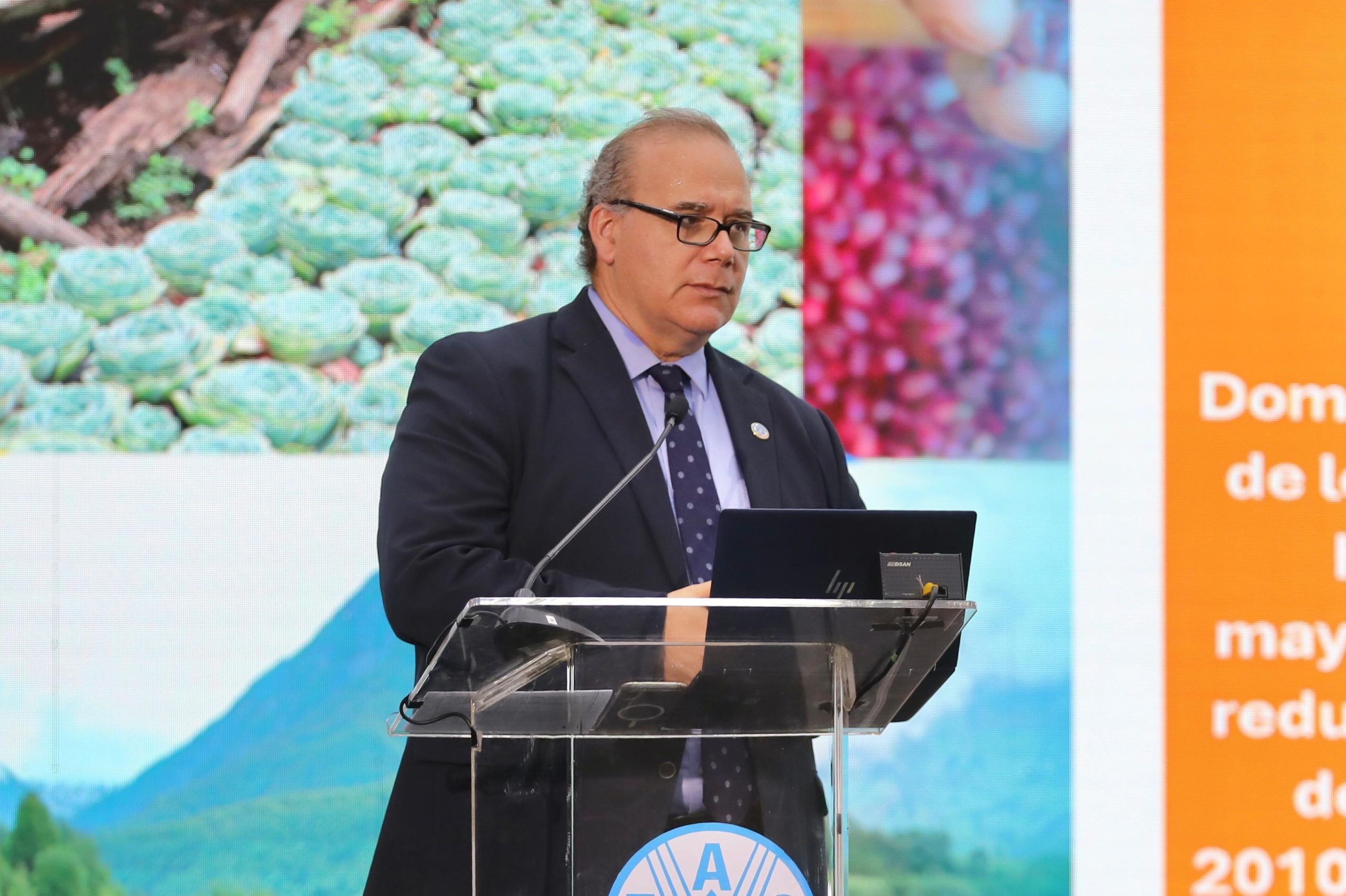 FAO afirma República Dominicana reduce subalimentación del 8.7% en 2019 ...