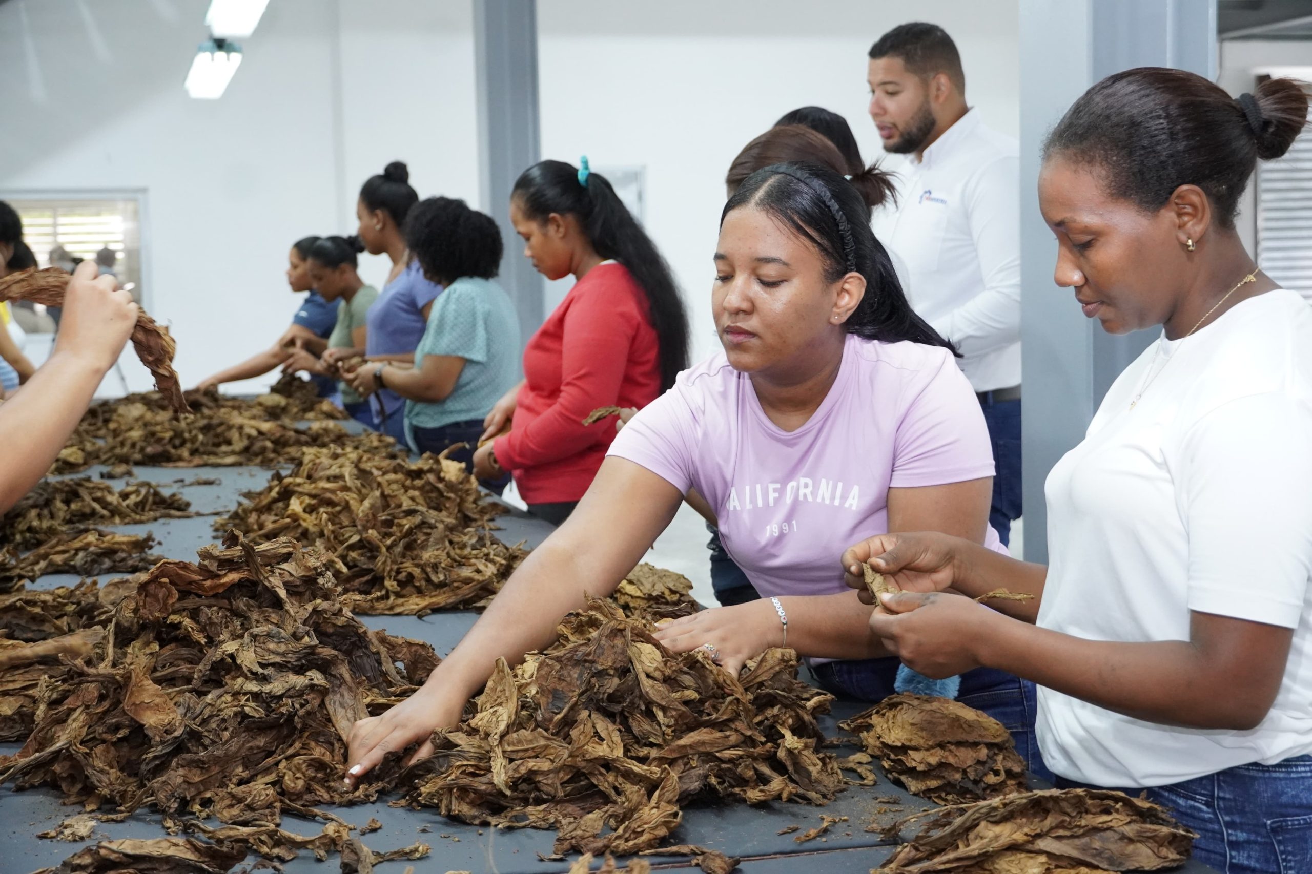 Proindustria genera más de 2,600 nuevos empleos en el último año en sus parques y zonas francas