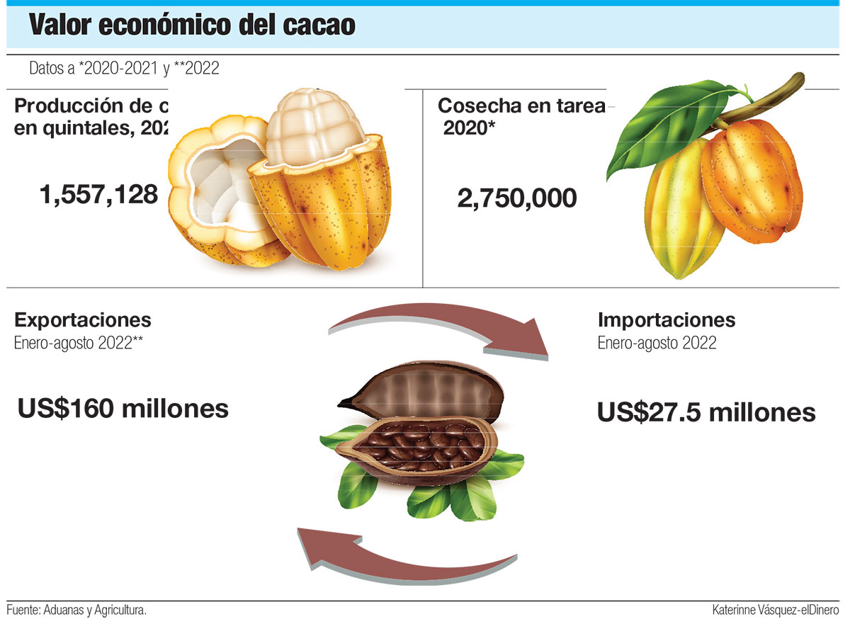 El cacao, nueva oferta ecoturística de República Dominicana